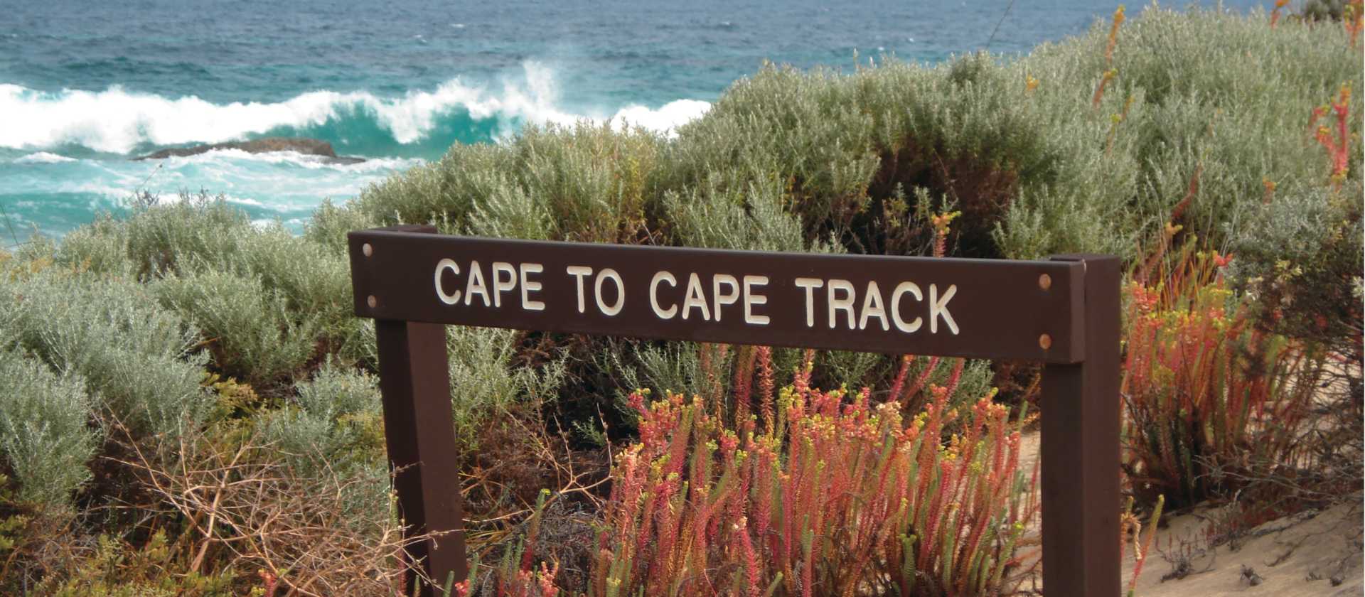 Black Dog Institute Cape to Cape Challenge